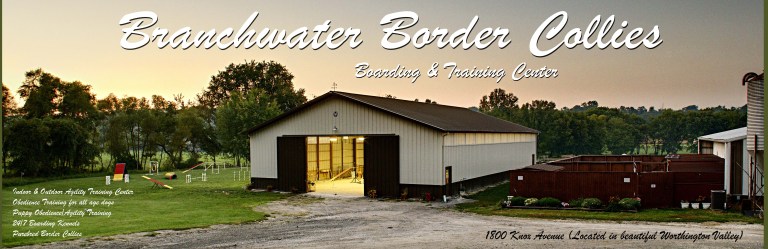 Training – Branchwater